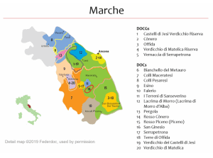 Tasting Italy: Le Marche Wines and Pairings - Always Ravenous