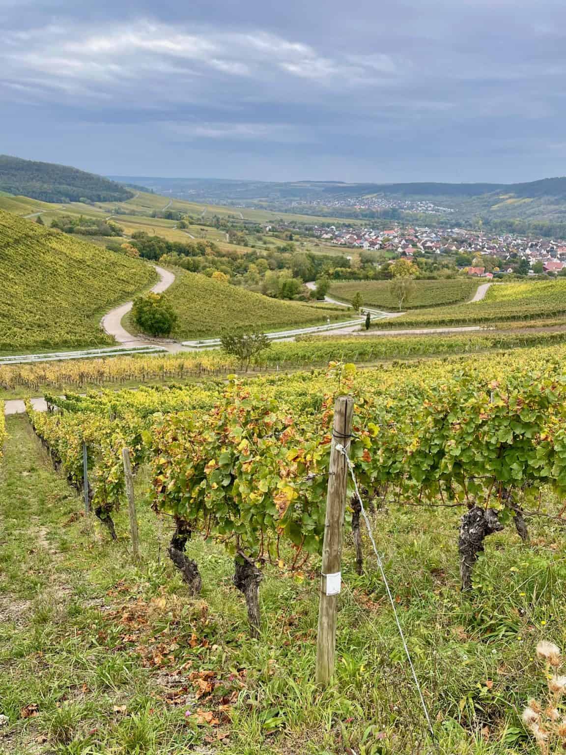 Wine and Food Notes from Franken Germany - Always Ravenous